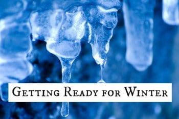 Make sure that you're fully prepared for Winter.... | The Diary of a ...
