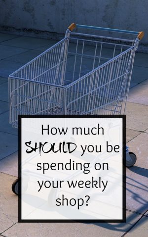 How much SHOULD you be spending on your weekly shopping? | The Diary of ...