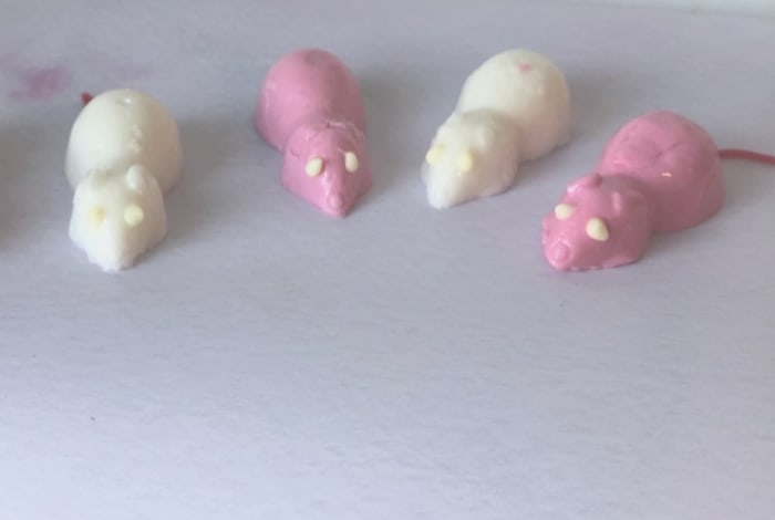 How to make Sugar Mice.... | The Diary of a Frugal Family