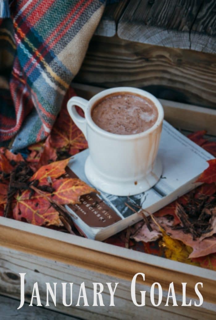 My January Goals.... | The Diary of a Frugal Family