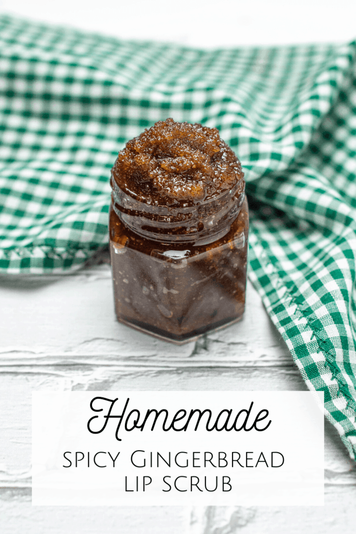 Spicy Gingerbread Lip Scrub | The Diary of a Frugal Family