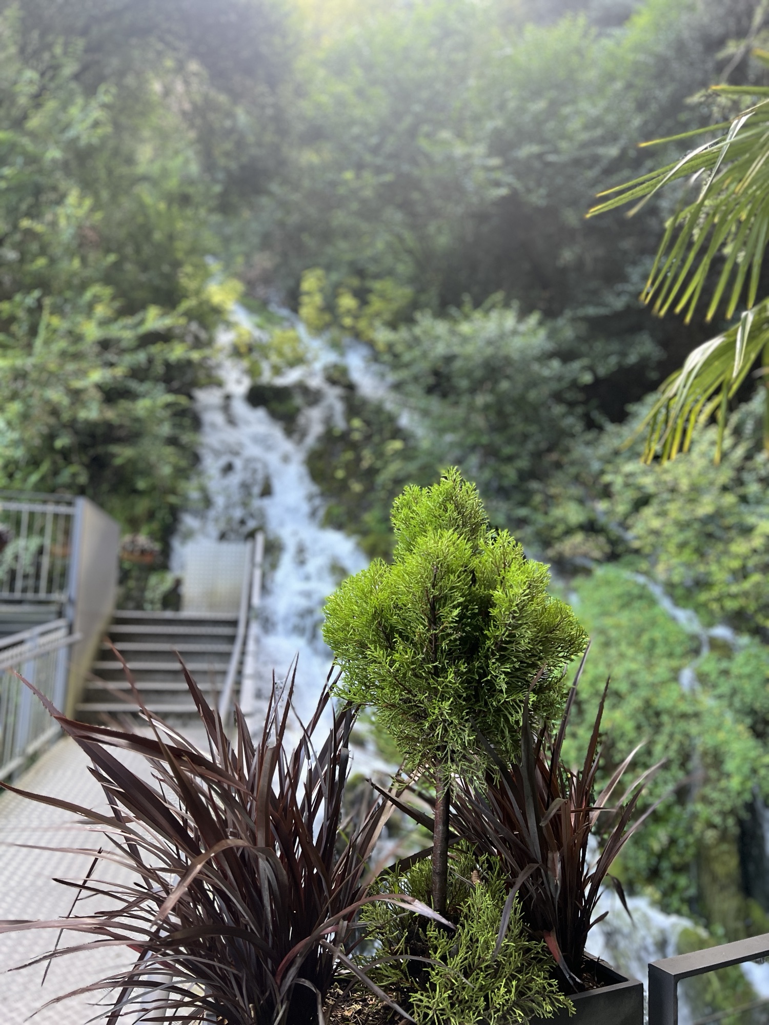 Five Frugal Things we did in Lake Garda {18th October 2024}.... | The ...