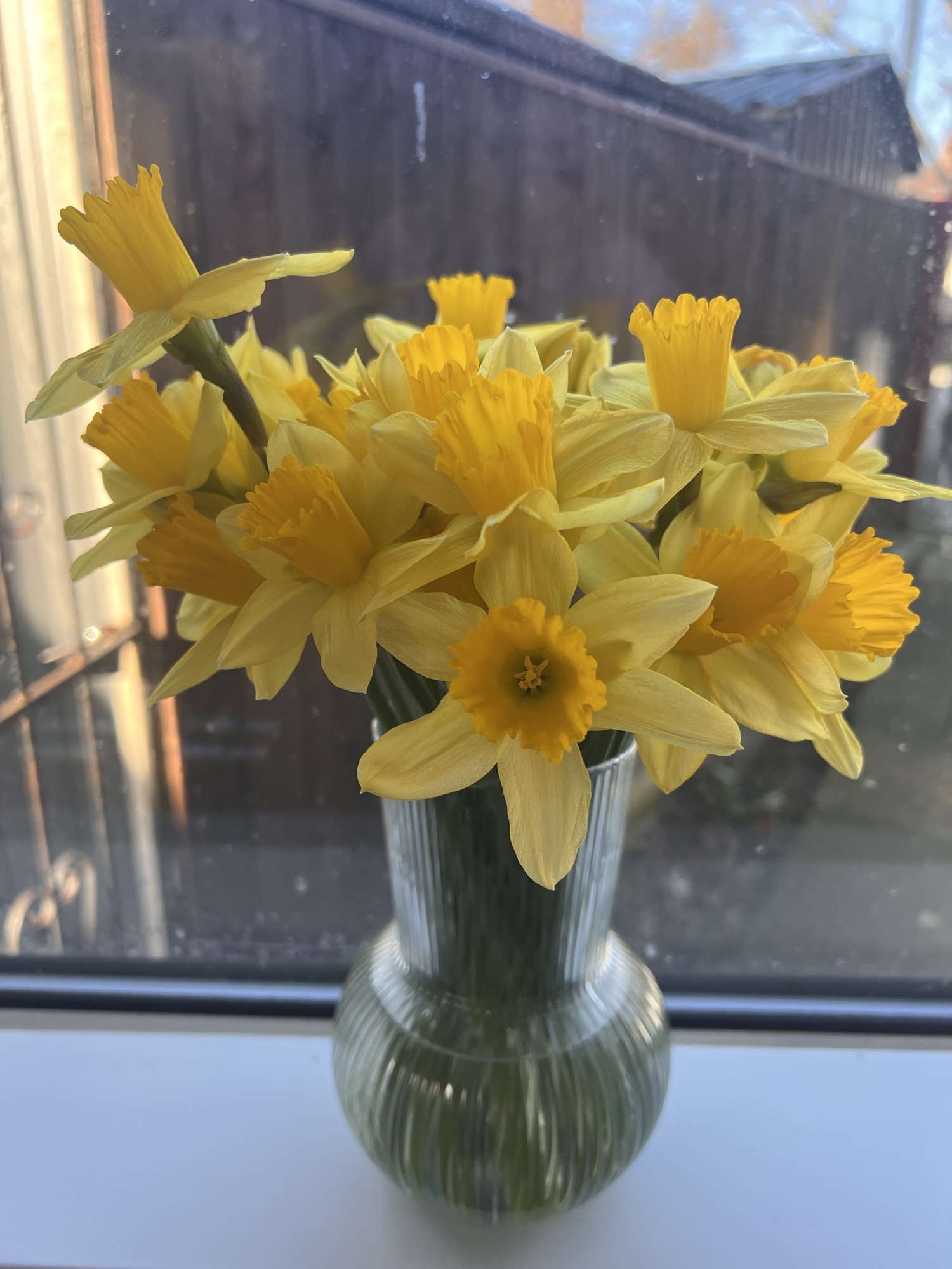 Five Frugal Things we did this week {29th March 2025}.... | The Diary ...